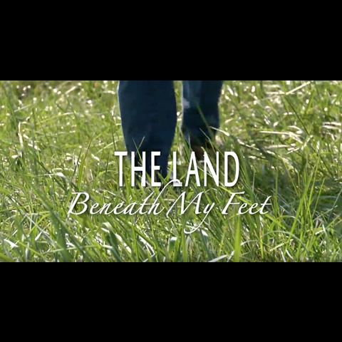 Welcome - Thomas Neel